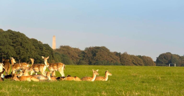 Weather in Ireland in September: What to Expect